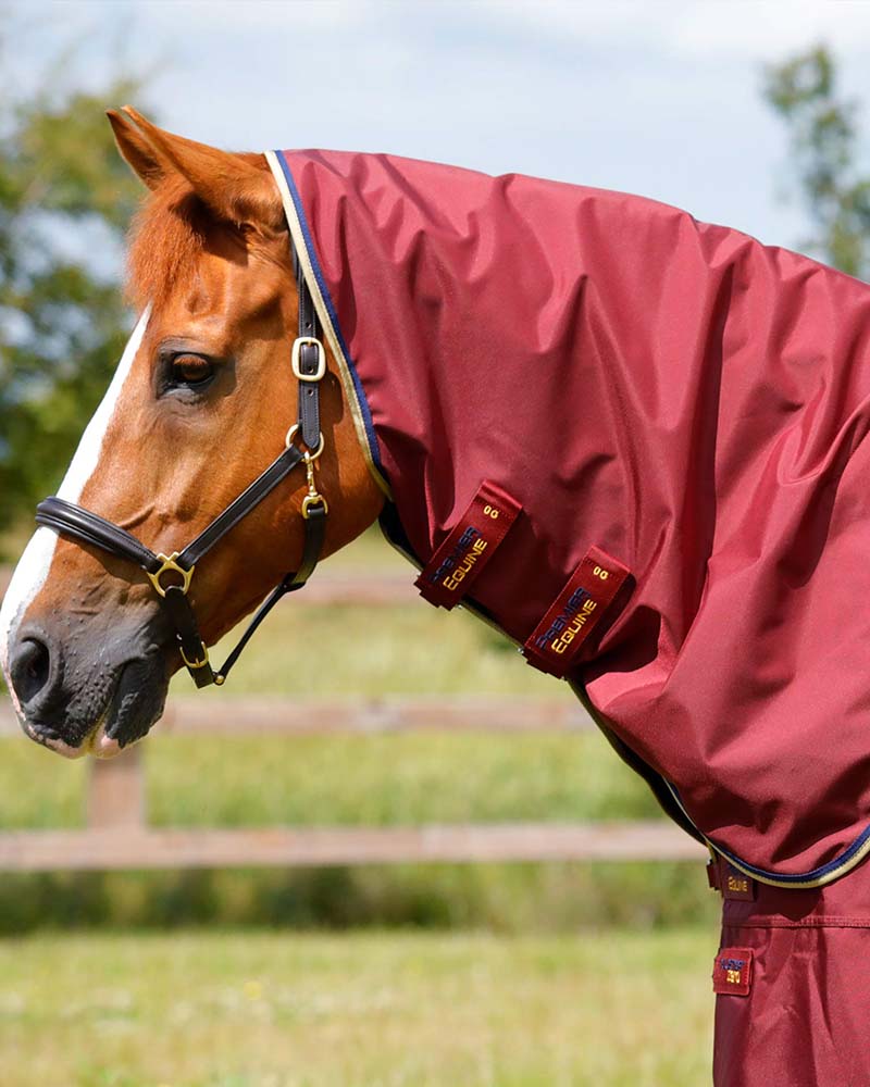 The entire Premier Equine Range