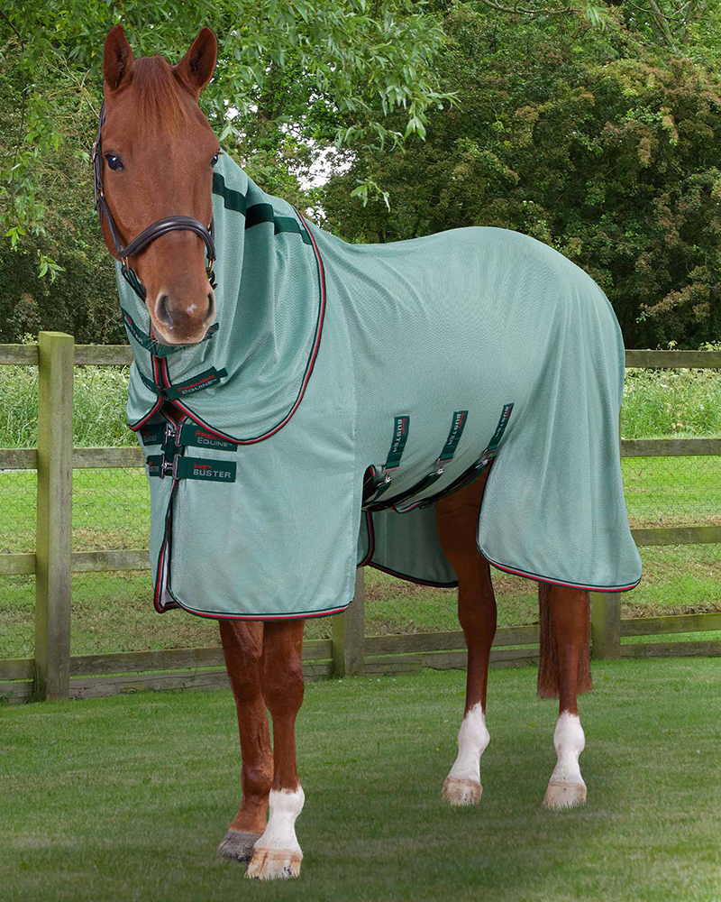 The entire Premier Equine Range
