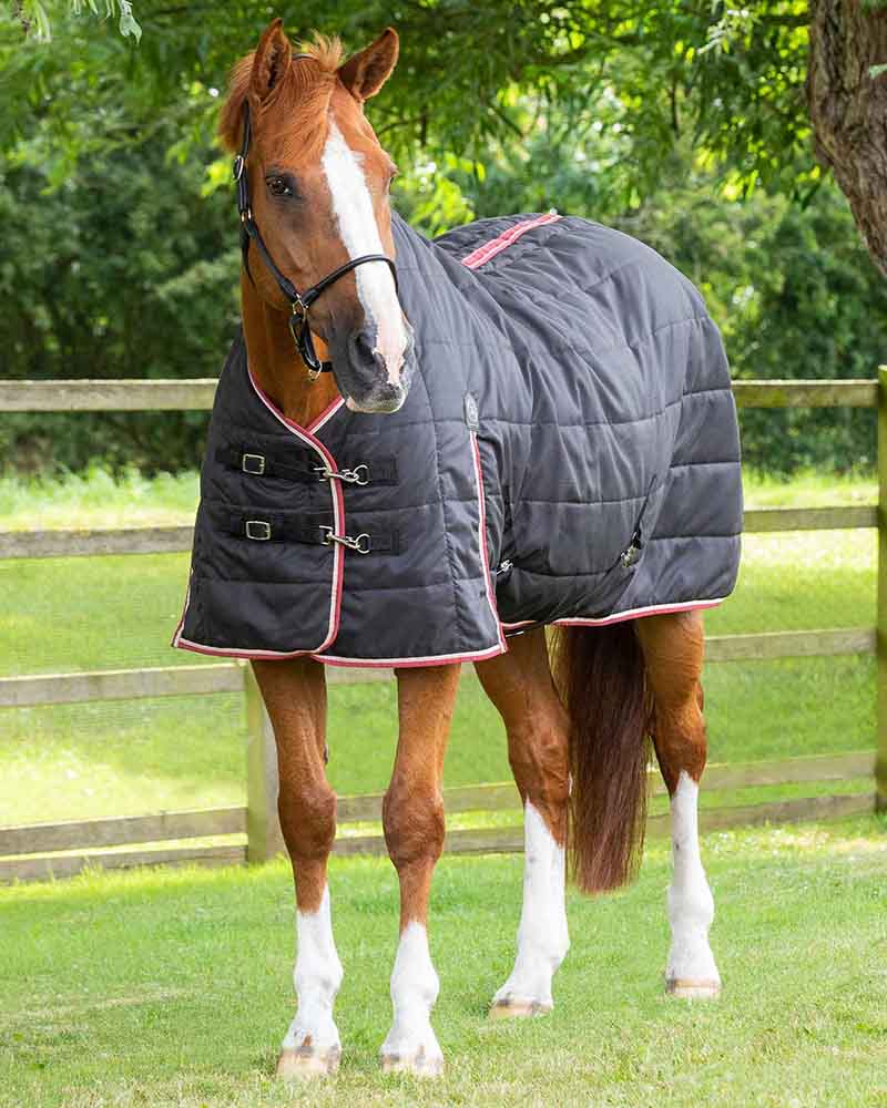 The entire Premier Equine Range