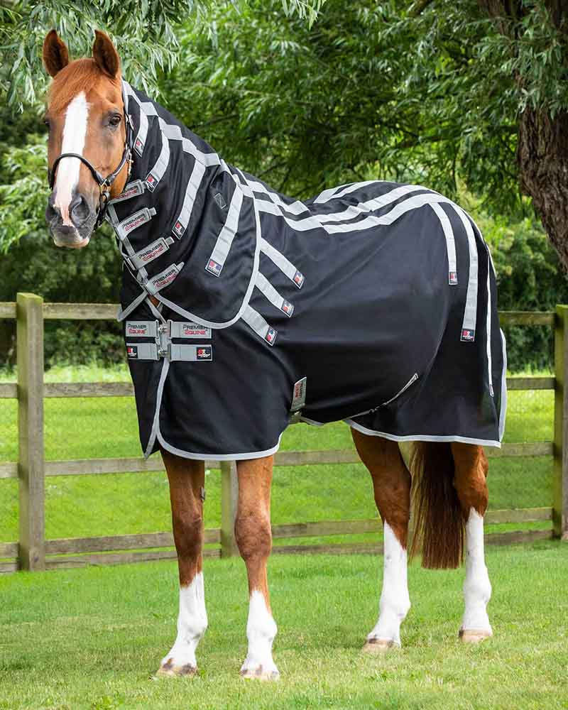 Premier Equine Horse Rugs, Boots & Rider Wear Desirable Equine
