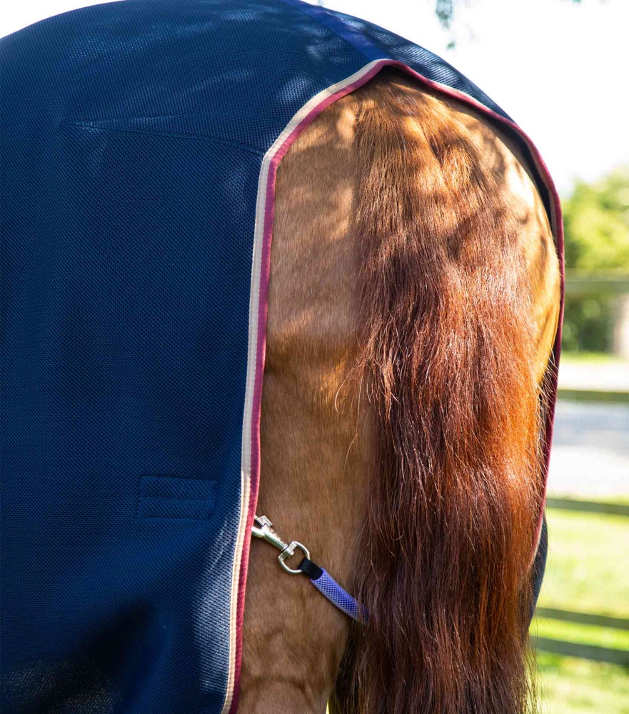 The entire Premier Equine Range
