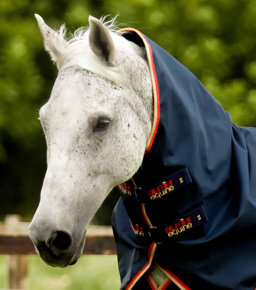 Premier Equine Akoni 0g Lightweight Horse Turnout Rug with Removable ...