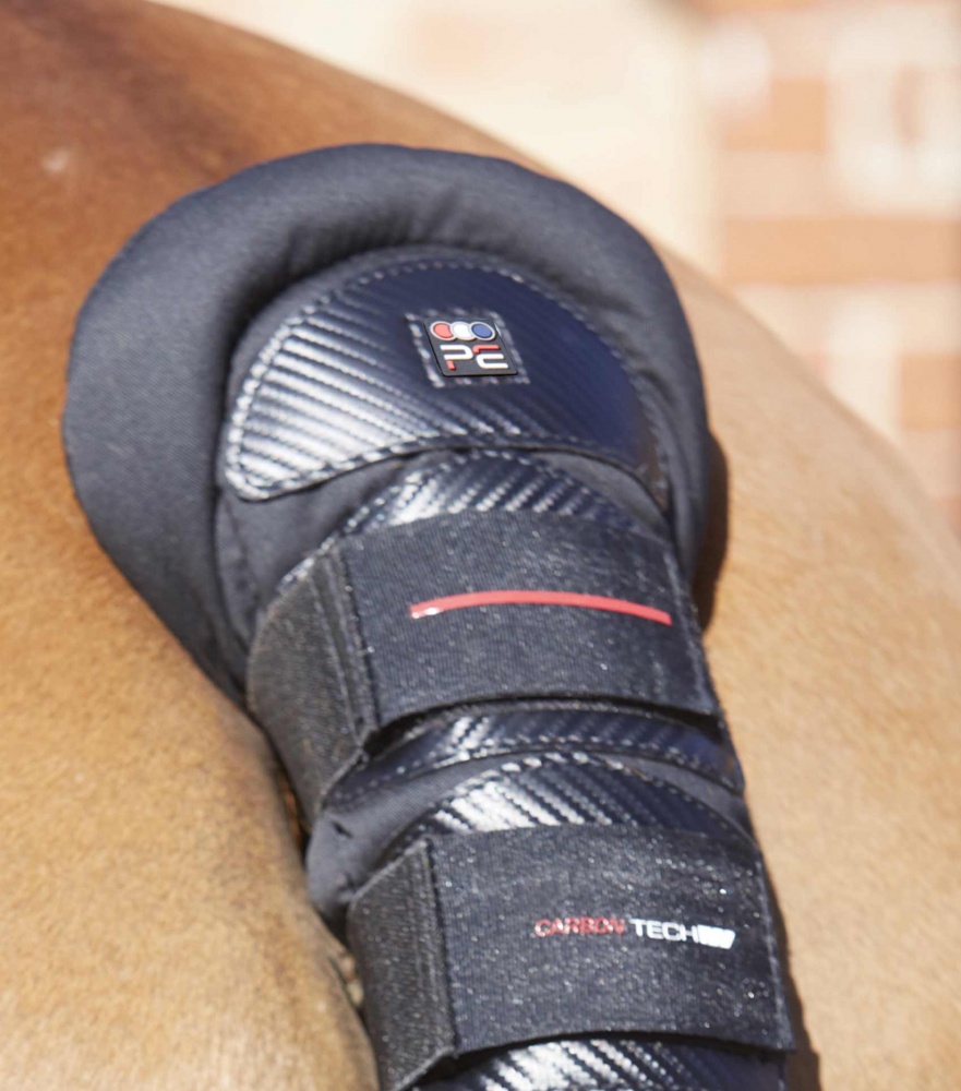 Desirable Equine - everything for the horse, rider and pet