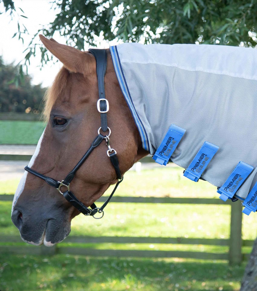 Desirable Equine - everything for the horse, rider and pet