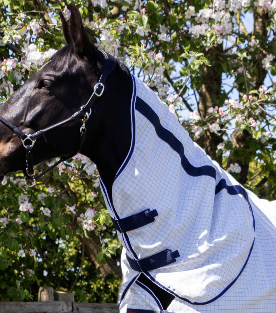 The entire Premier Equine Range