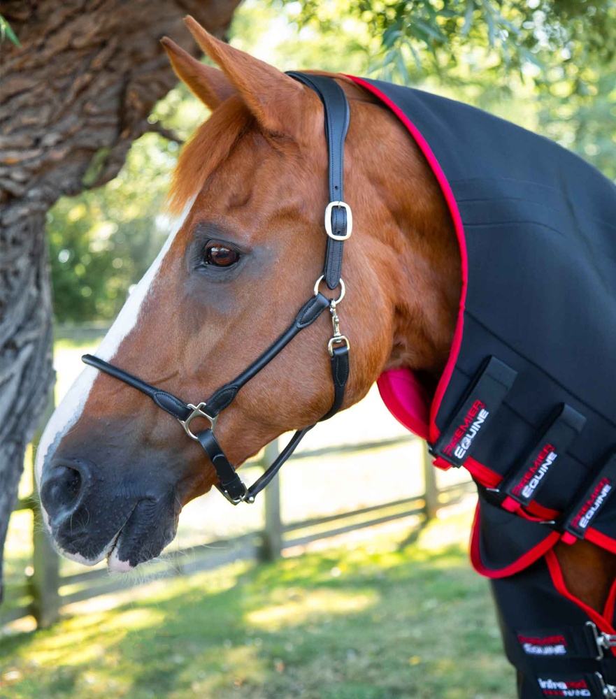 The entire Premier Equine Range