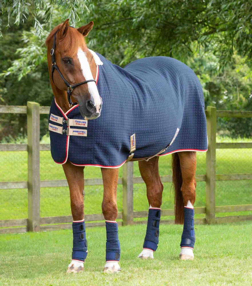 The entire Premier Equine Range