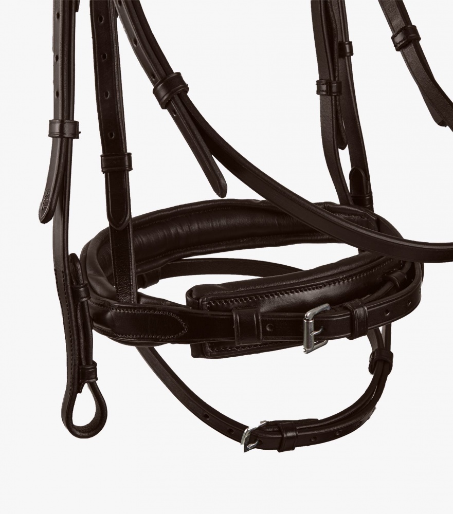 Premier Equine Rizzo Anatomic Snaffle Bridle with Flash