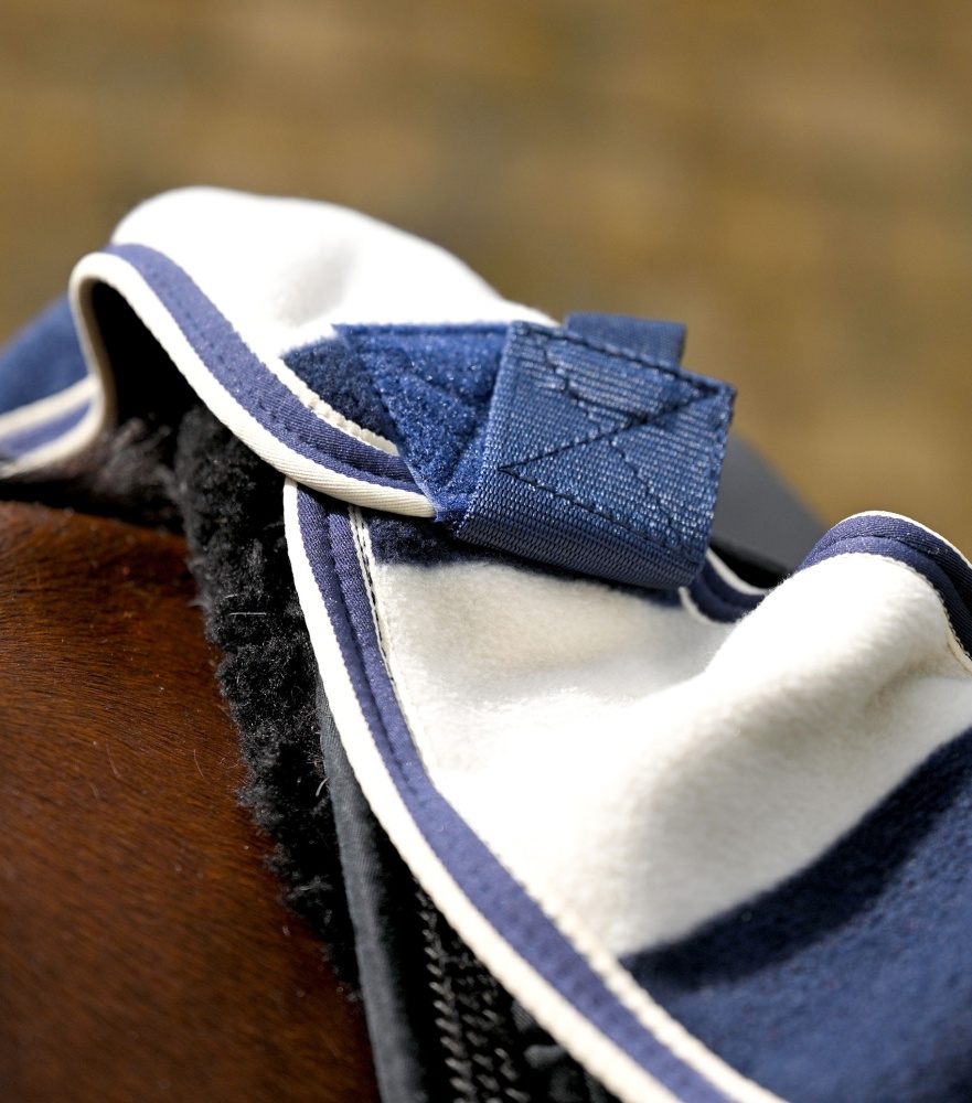 The entire Premier Equine Range