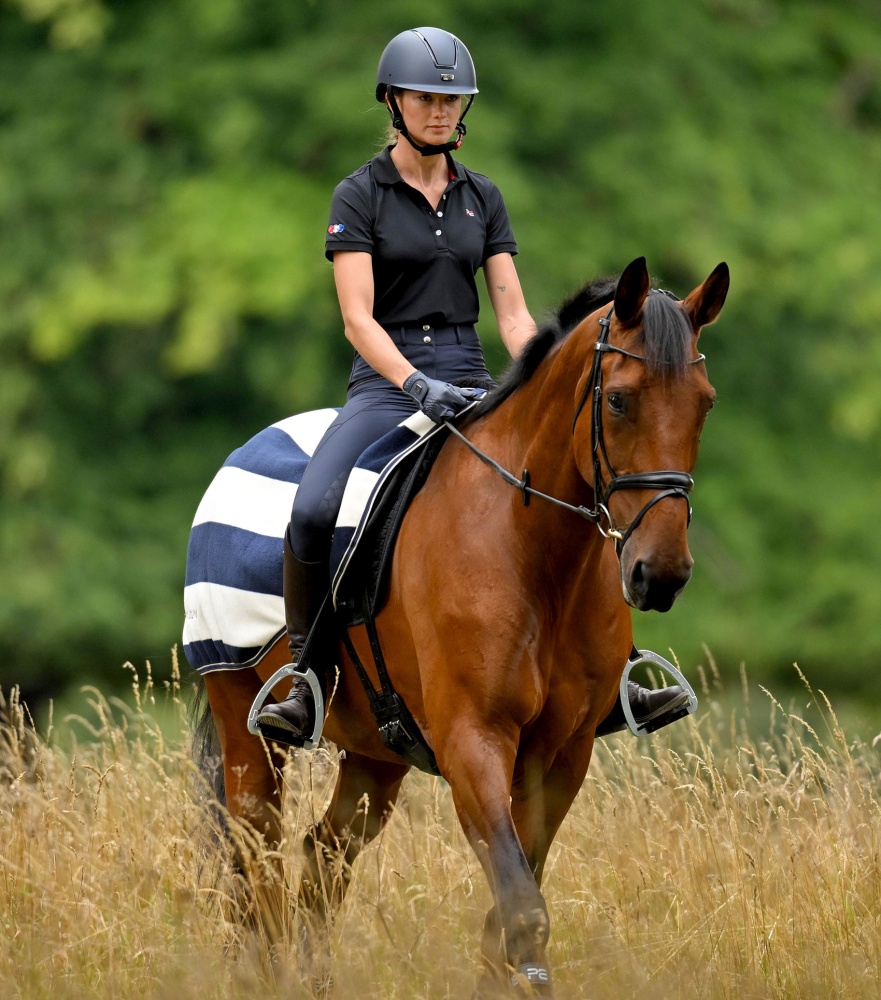 The entire Premier Equine Range