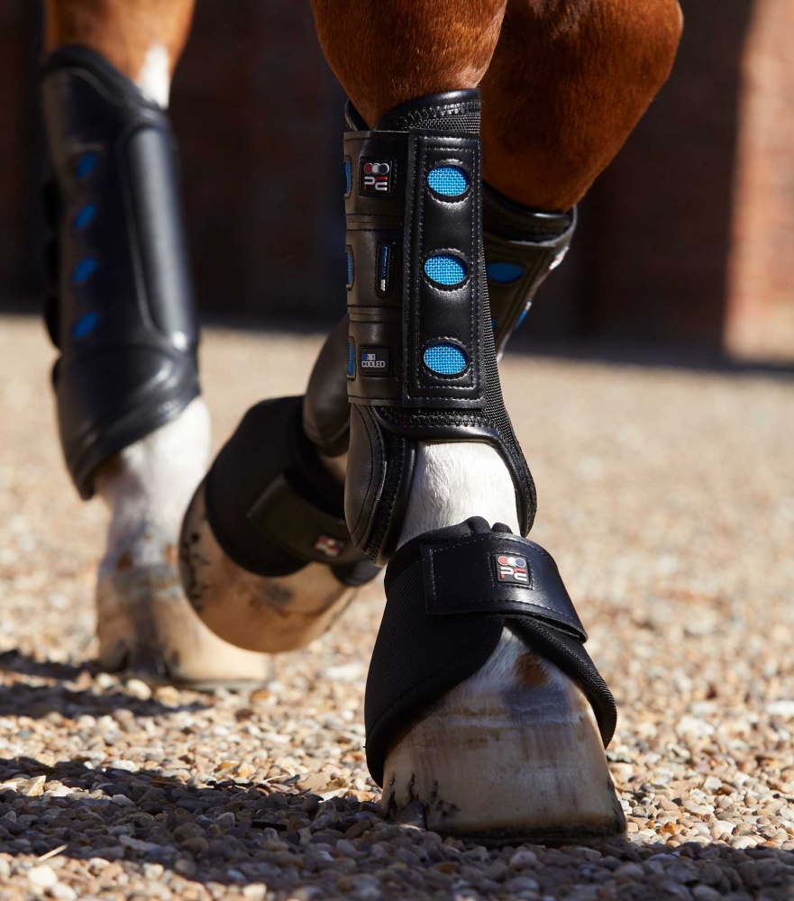 The entire Premier Equine Range