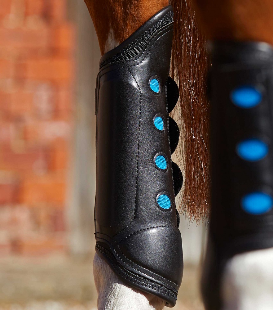 The entire Premier Equine Range