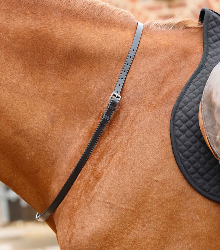 Premier Equine UK official retailer stocking the whole range