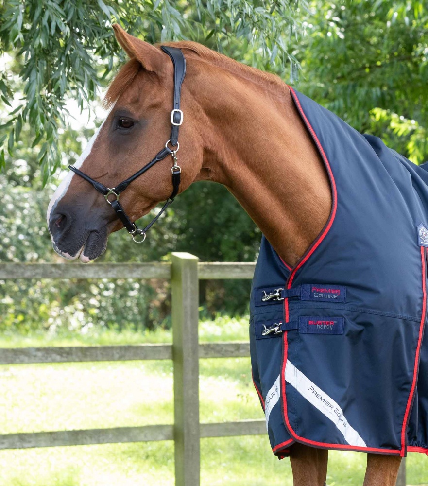 The entire Premier Equine Range