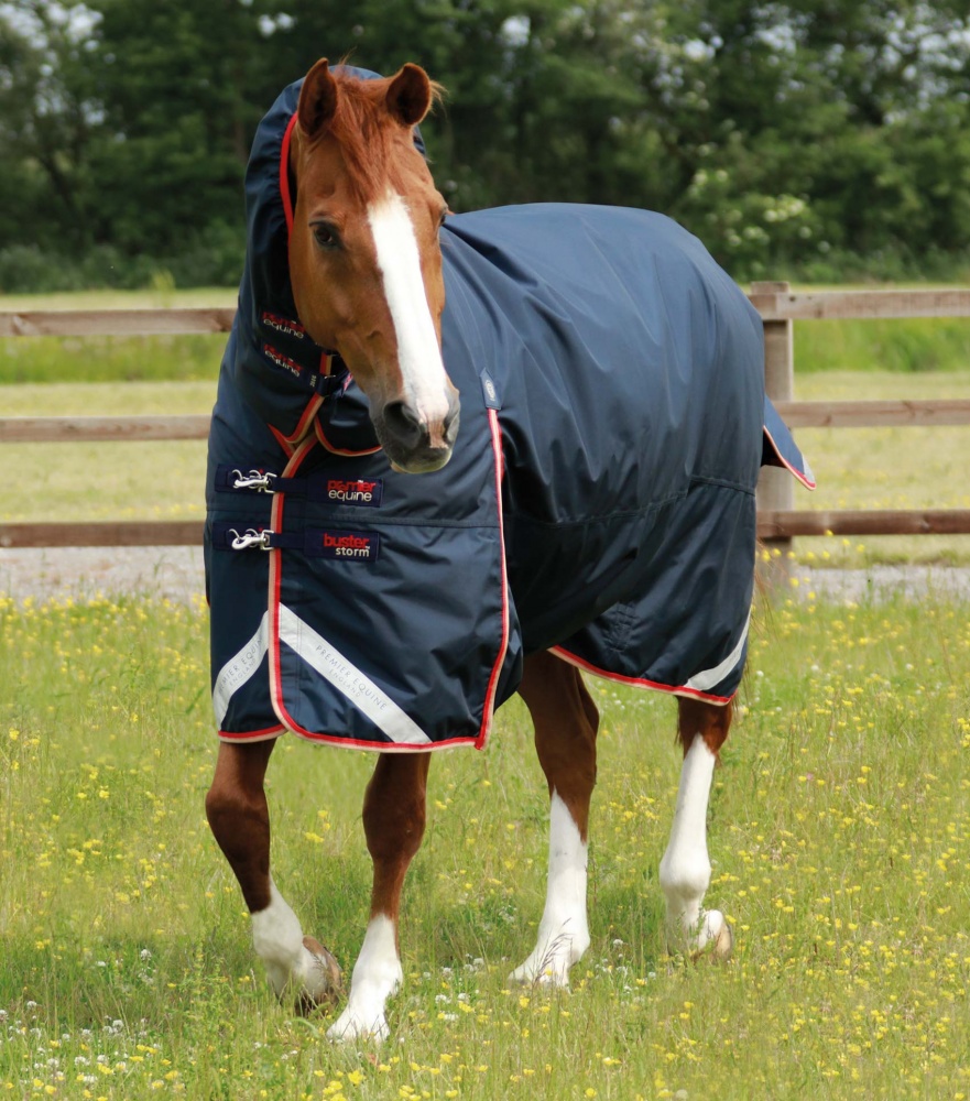 Horse and Pony Medium Weight Turnout Rugs