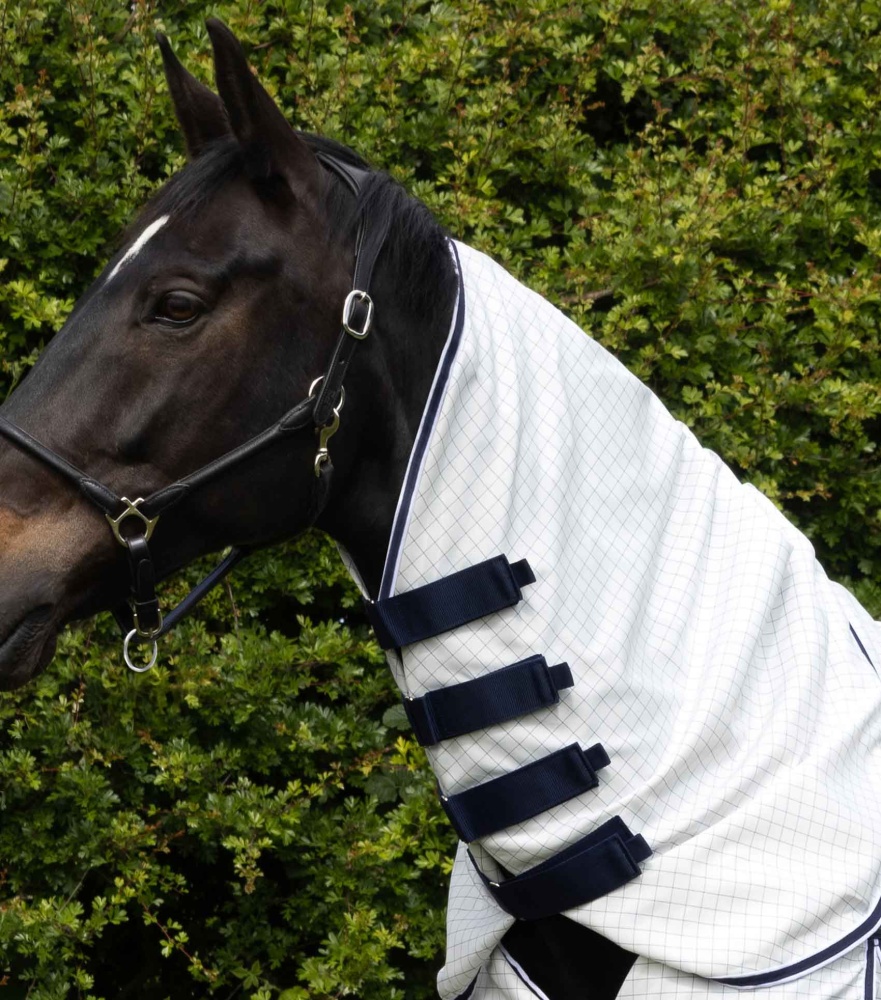 The entire Premier Equine Range