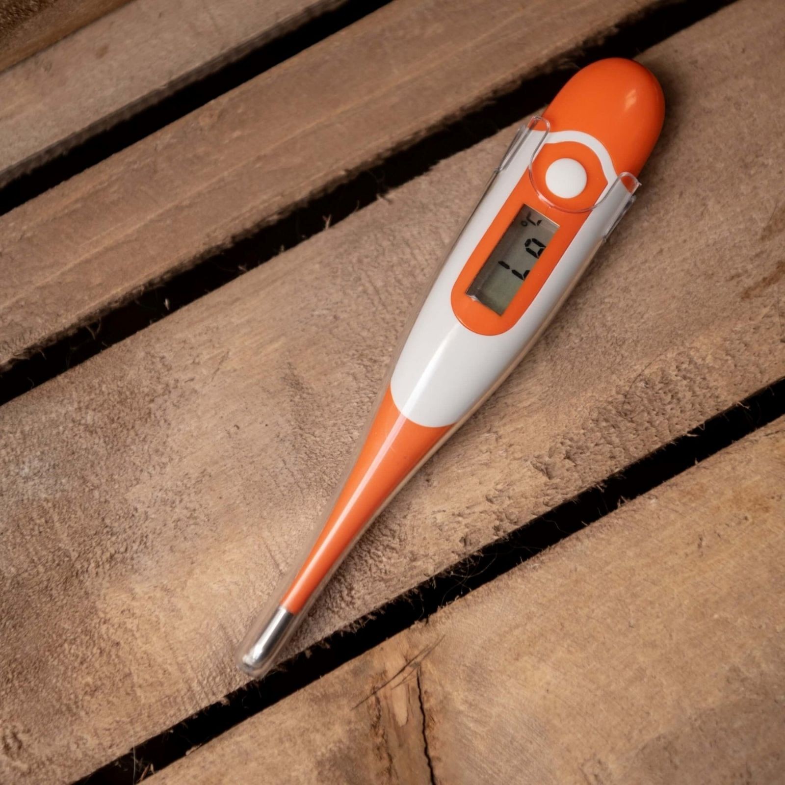 Smart Grooming Horse Thermometer