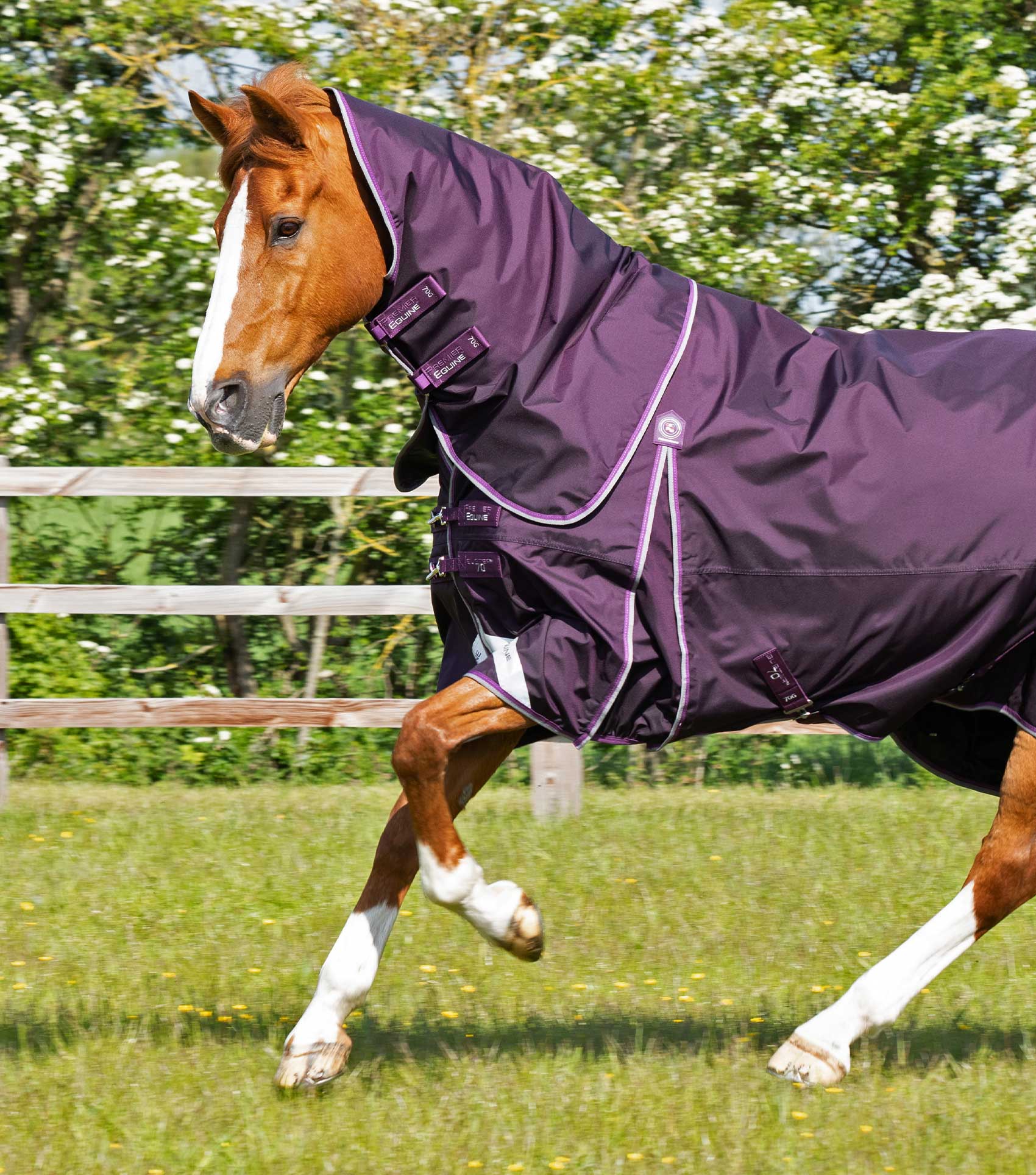 Premier Equine Buster 70g Lightweight Horse Turnout Rug Classic ...