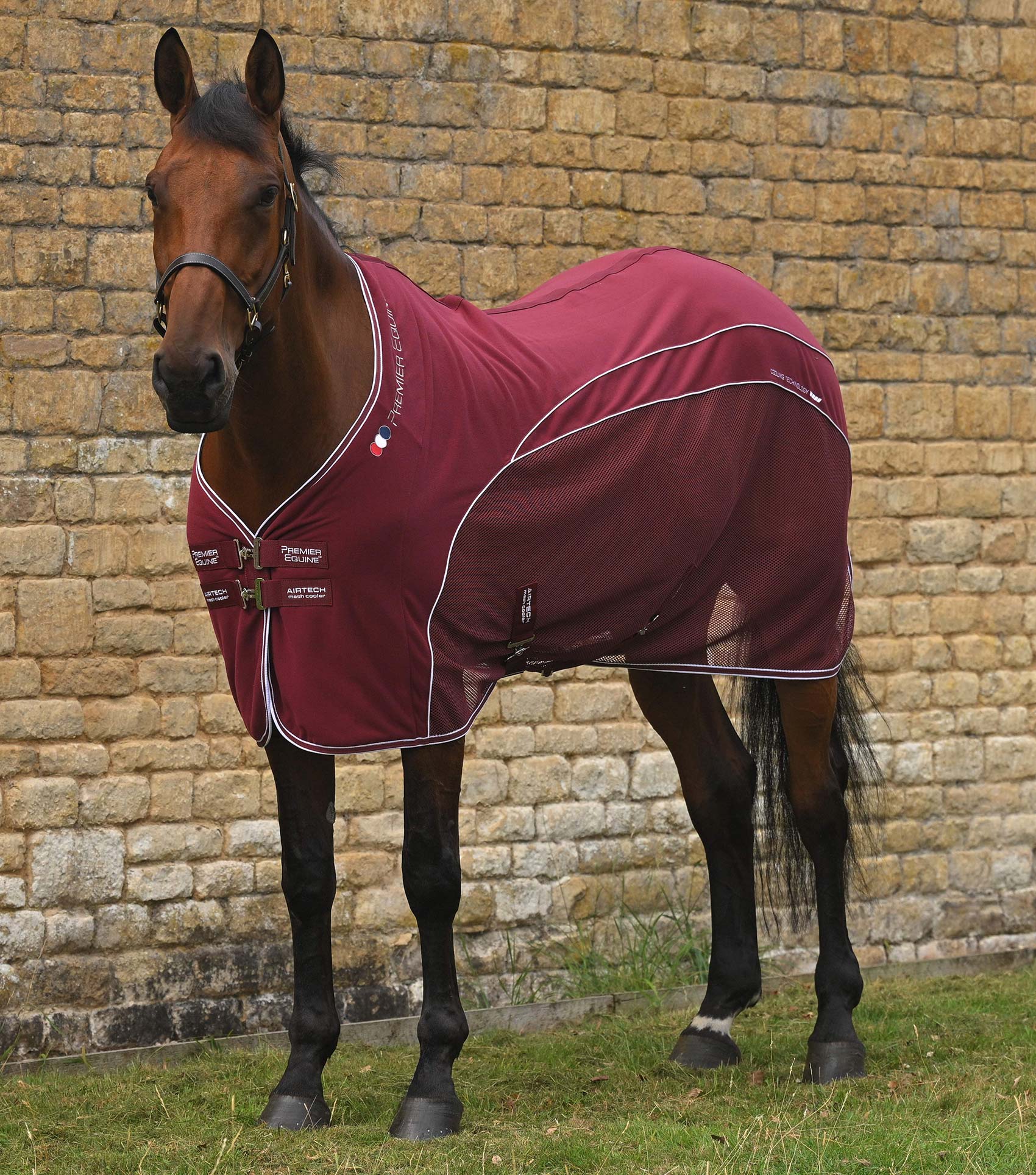 Premier Equine Airtech Mesh Horse Cooler Rug