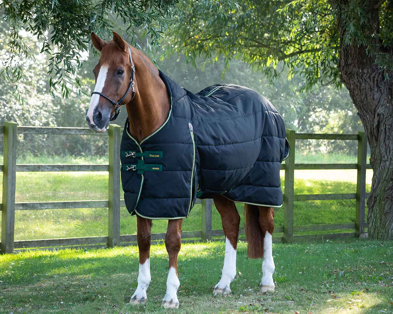 Premier Equine Lucanta Demi Stable Horse Rug 450g