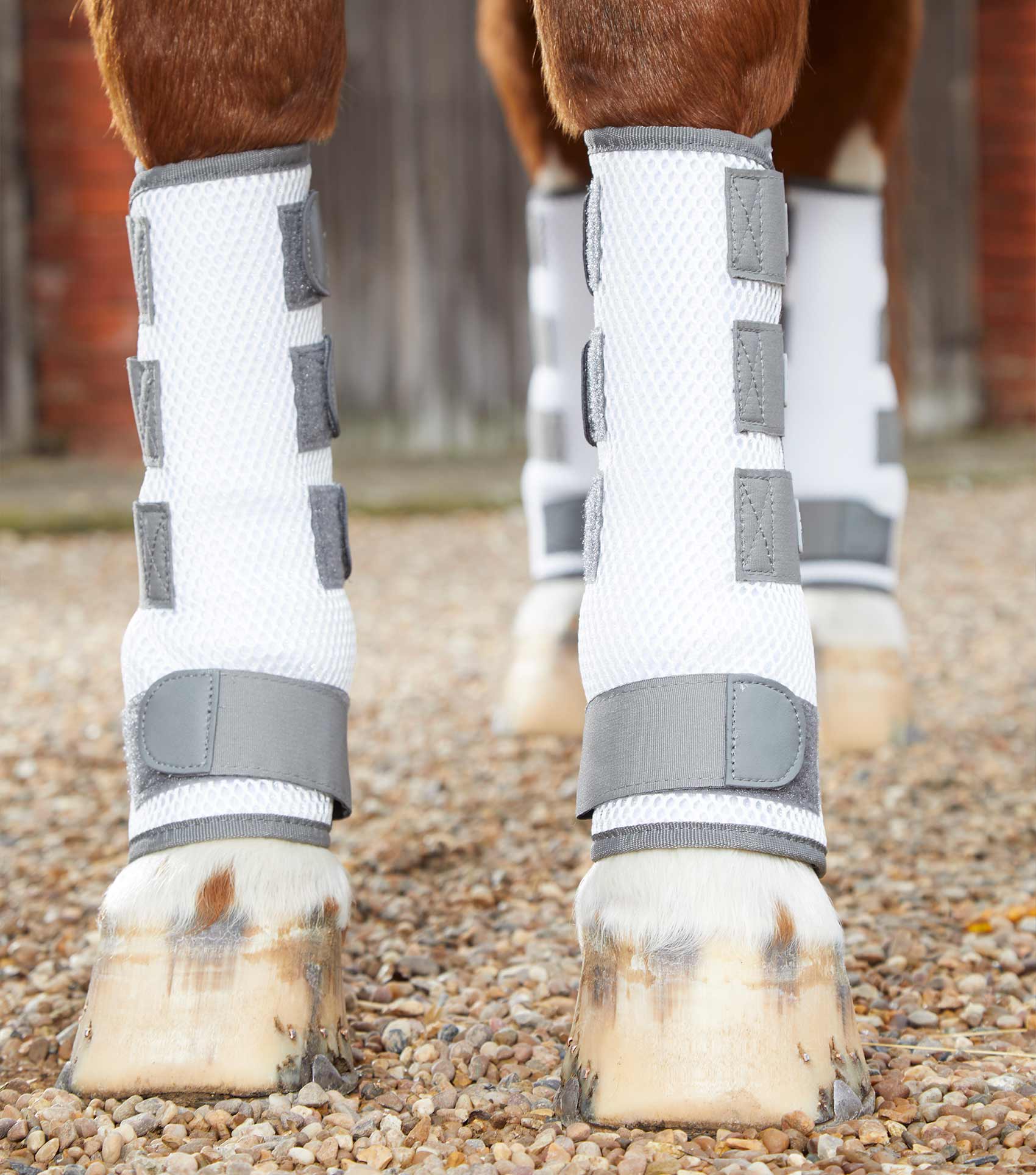 Premier Equine Pro-Tech Horse Bug & Fly Boots