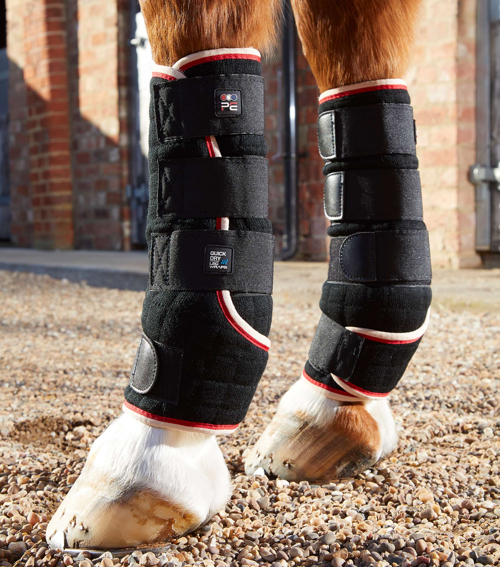Premier Equine Quick Dry Horse Leg Wraps | eBay UK