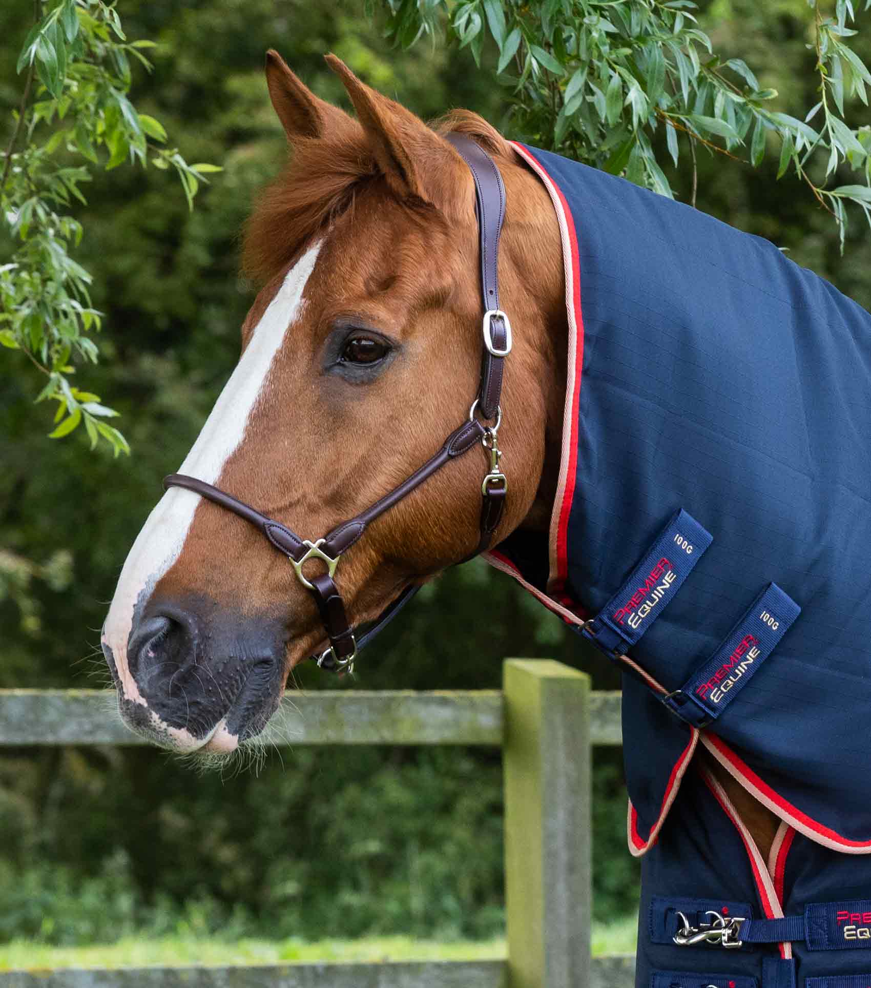 Premier Equine Stable Buster 100g Stable Rug with Neck Cover ...