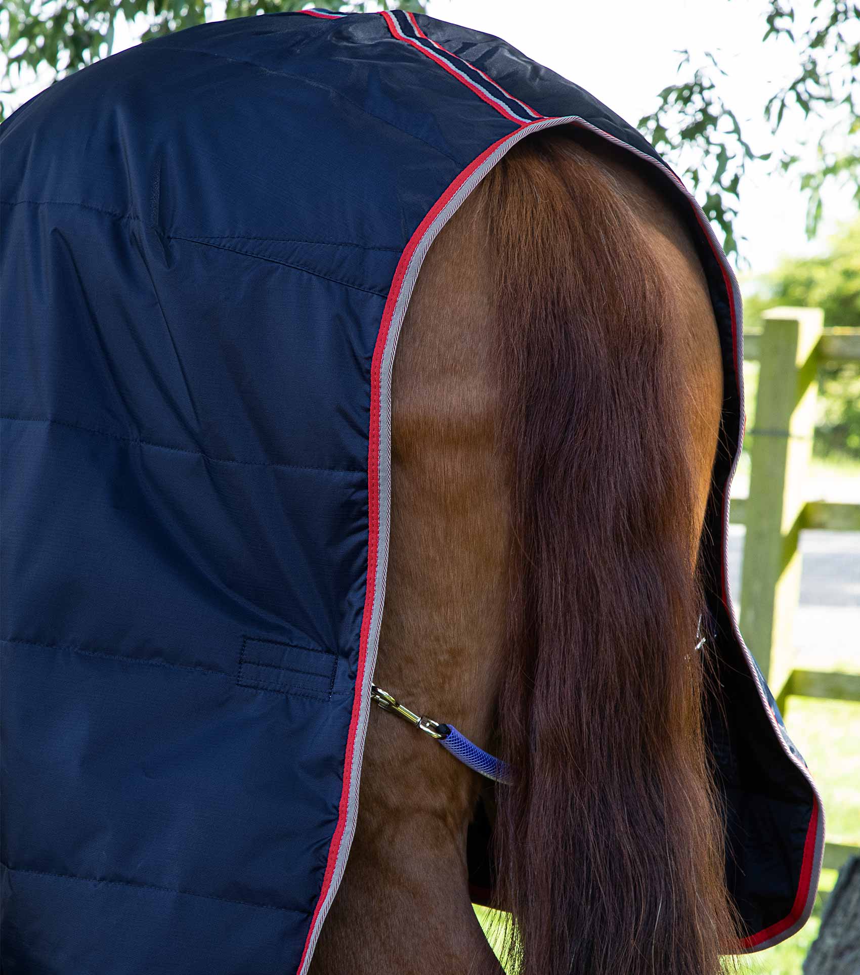 Premier Equine Stable Buster Lite 100g - available now at Desirable Equine