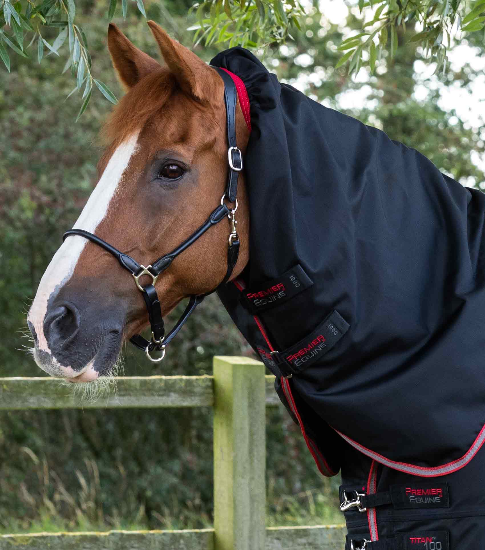 Titan turnout rug with various liners to cope with all seasons