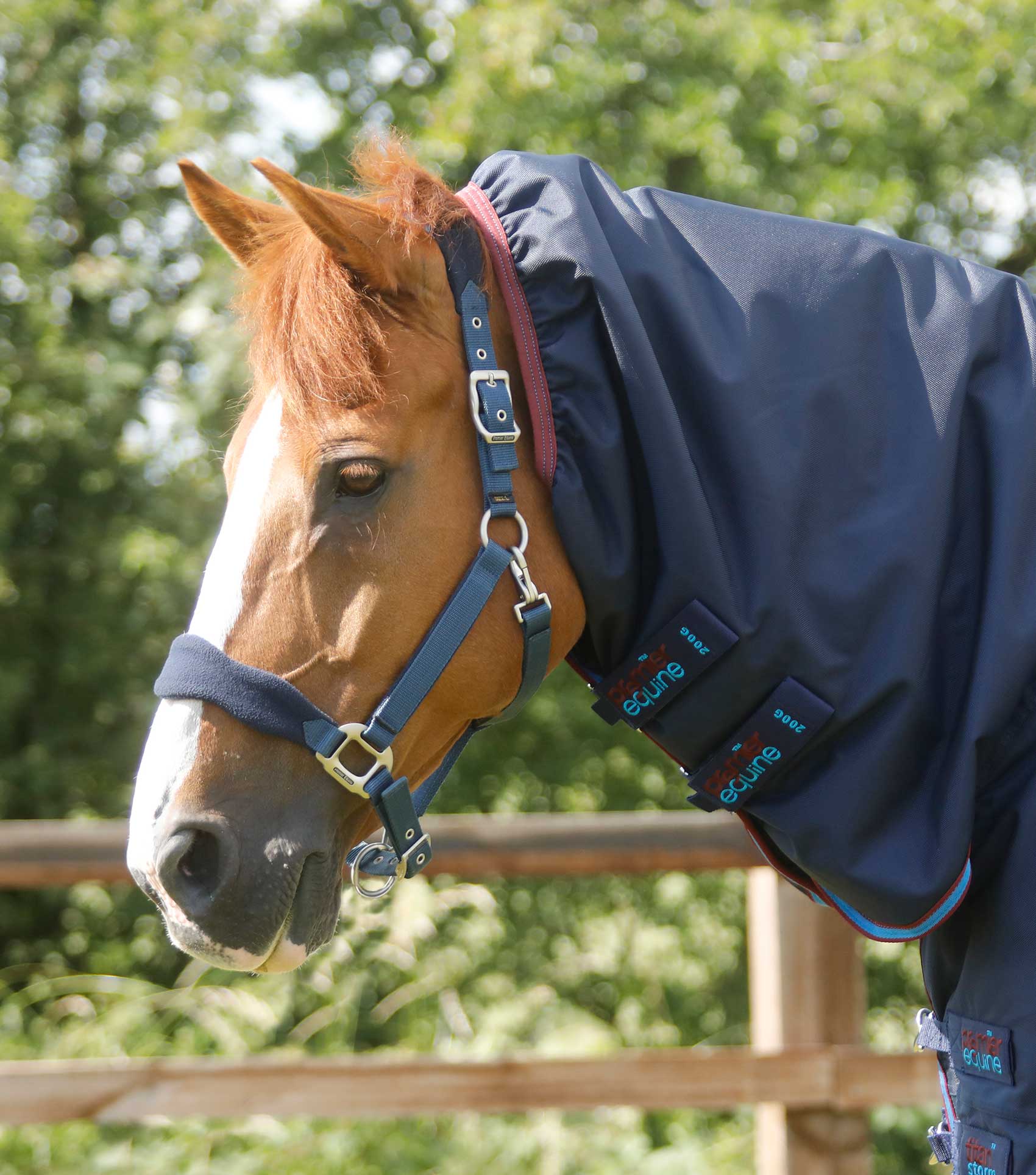 Premier Equine Titan Storm 200g Combo Horse Turnout Rug with Snug-Fit Neck