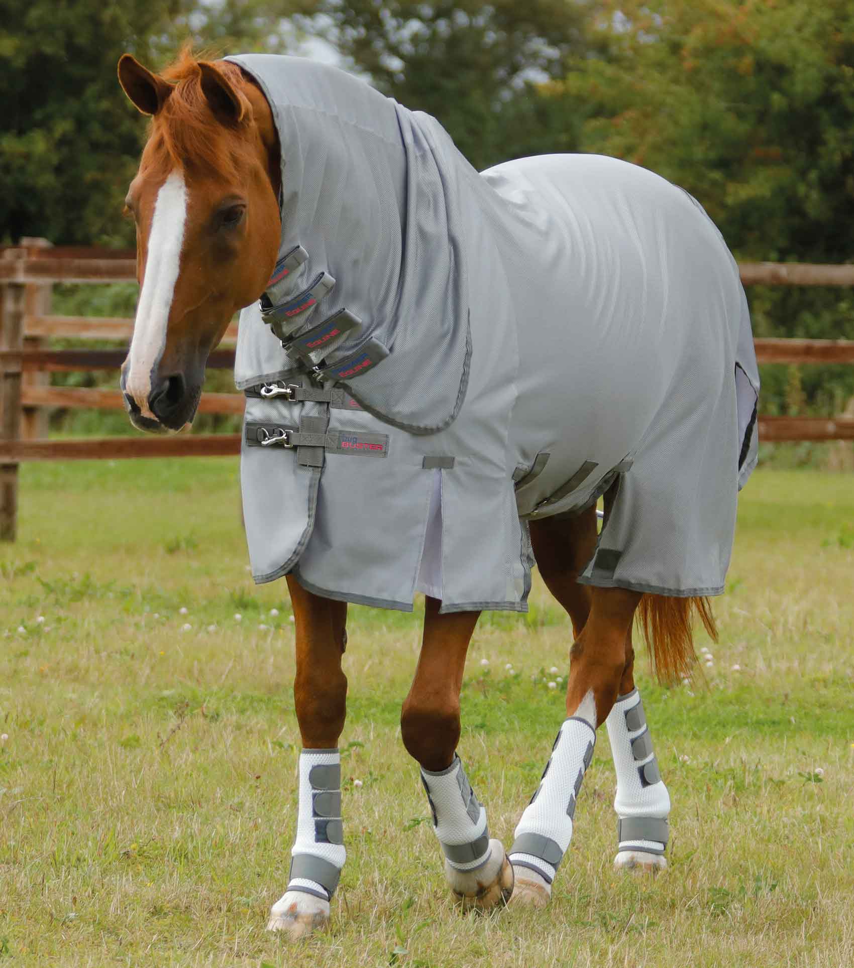 Premier Equine Bug Buster Horse Fly Rug with Belly Flap