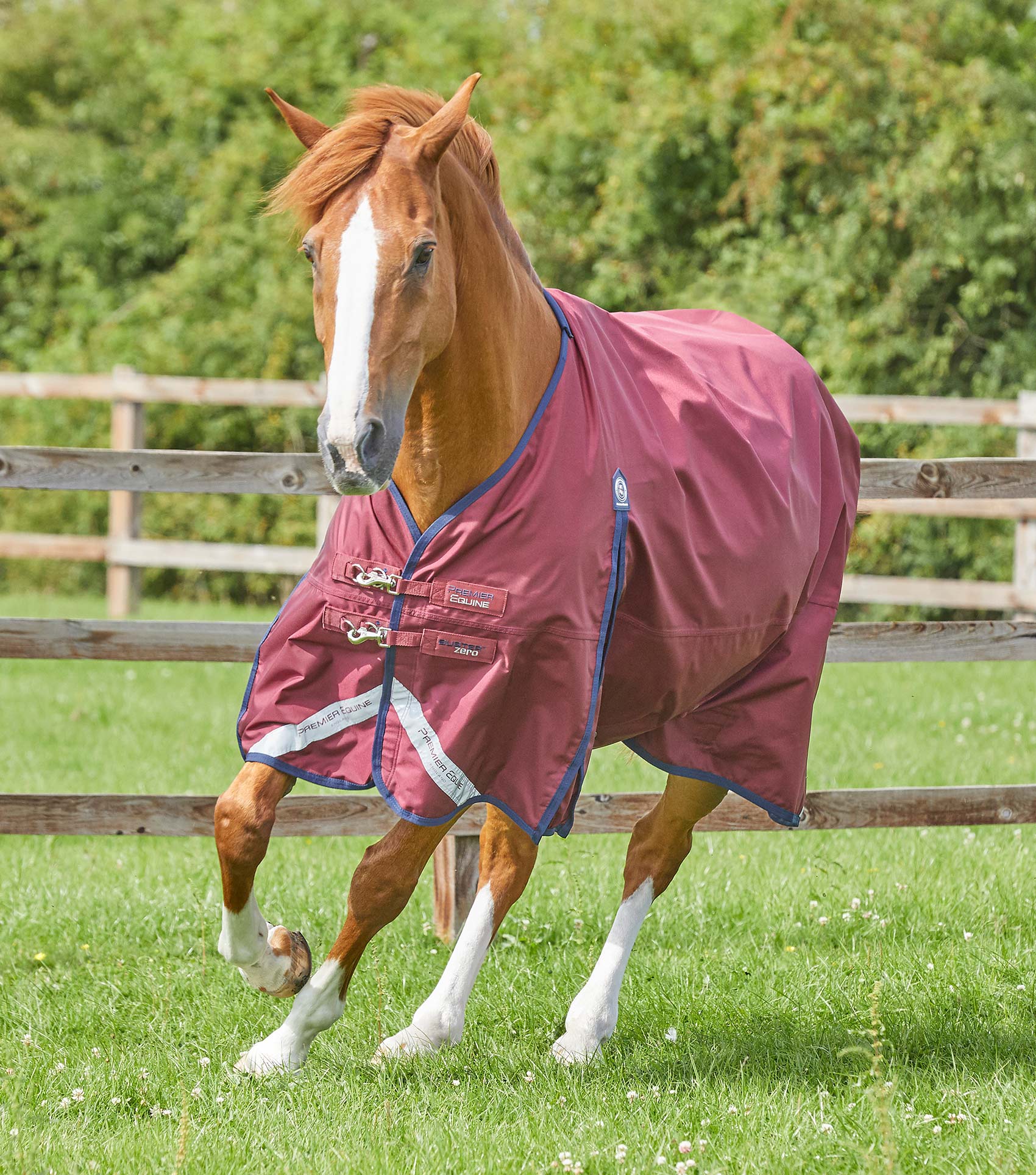Premier Equine Buster Zero Original Lightweight Horse Turnout Rug