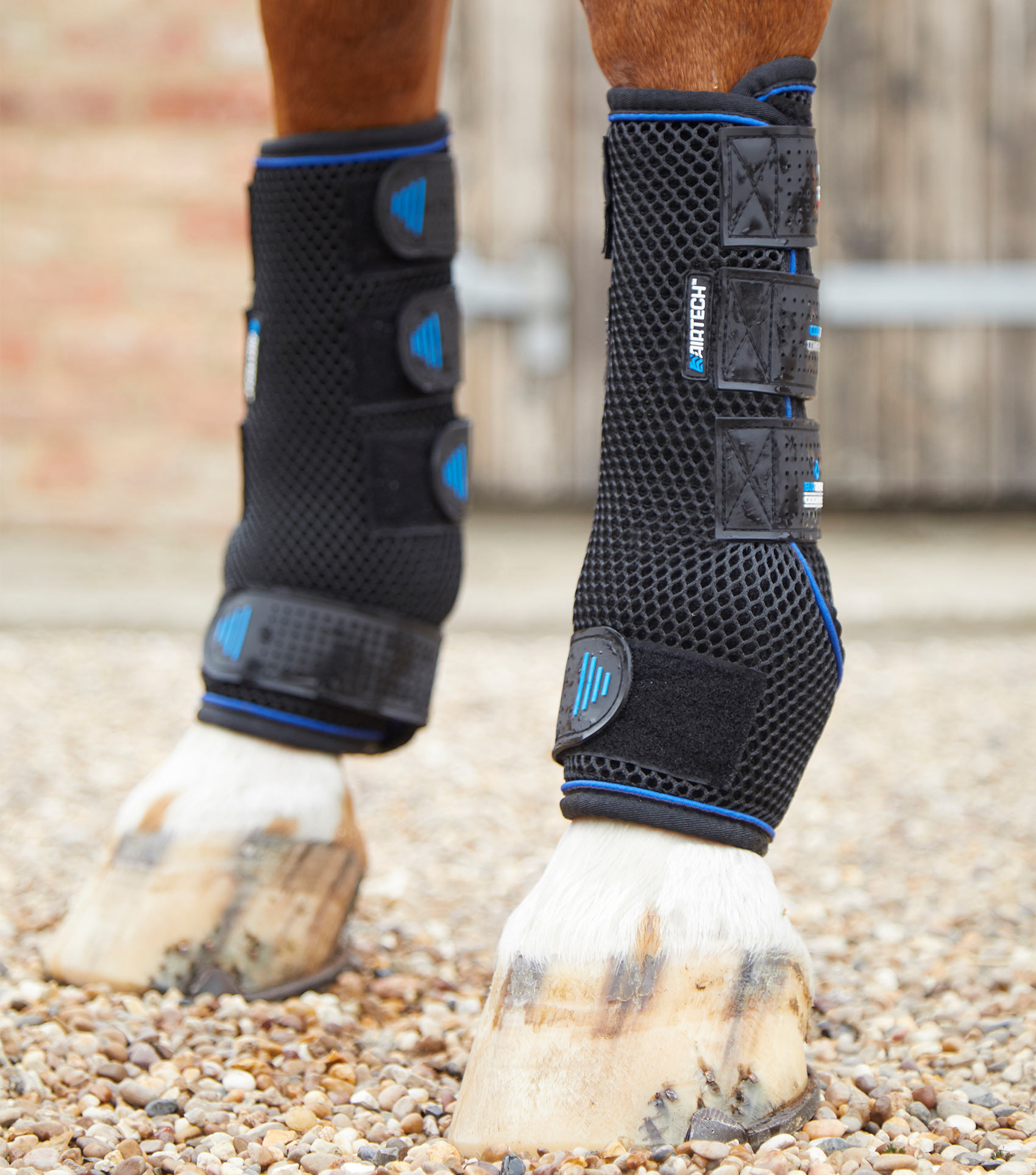 Premier Equine Cold Water Compression Horse Boots