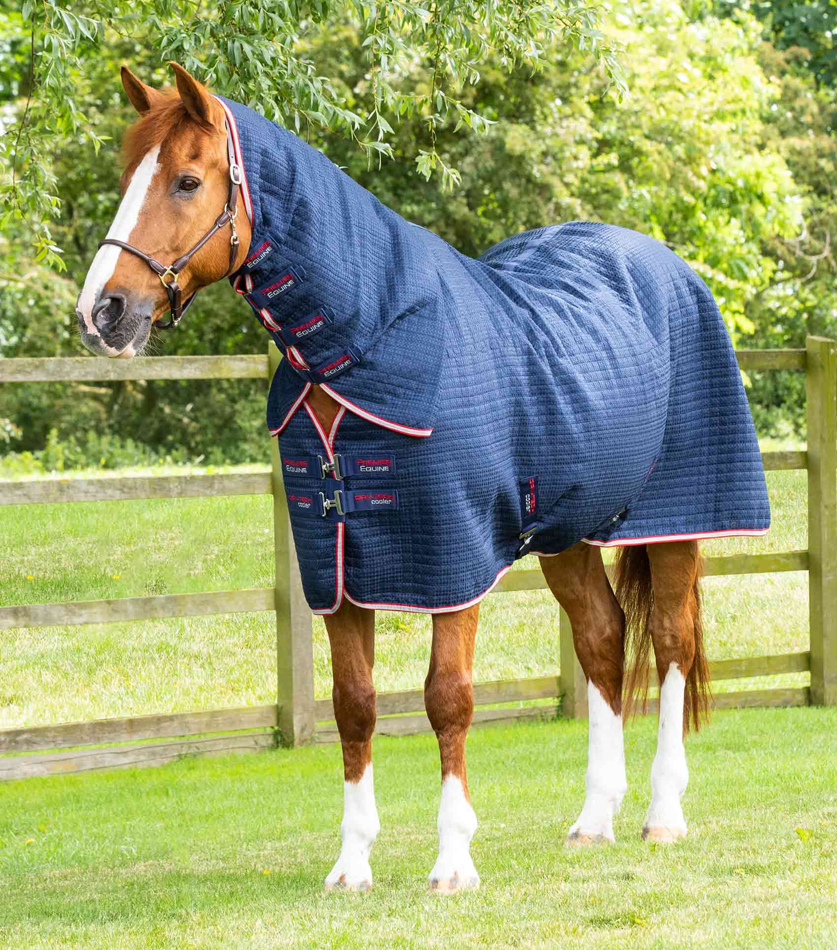 Premier Equine Combo Dry Tech Horse Cooler Rug