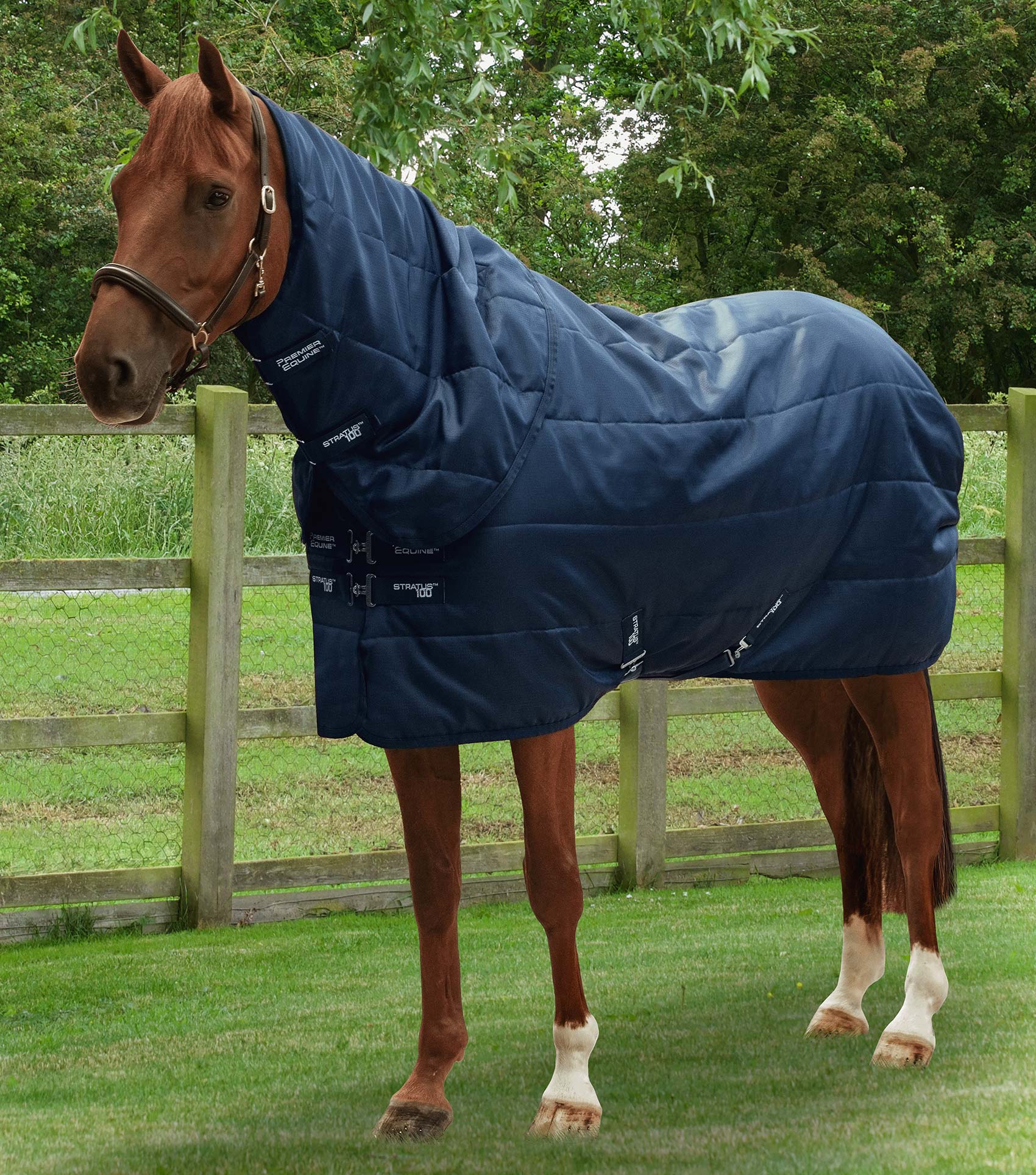 Premier Equine Stratus 100g Horse Stable Rug with Detachable Neck Cover